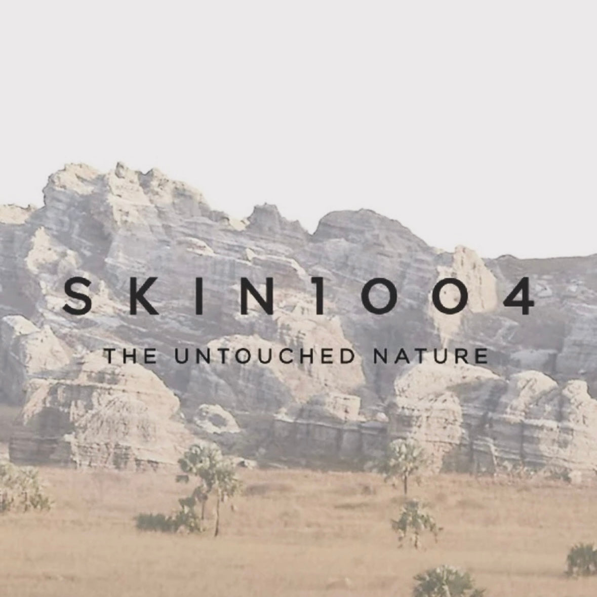 Skin1004 – FELORA